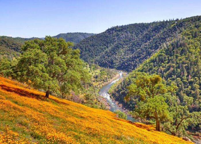 Hiking - American River Resort