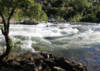 The best camping location on the American River in historic Coloma!
