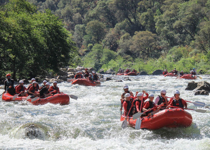 Whitewater Action - American River Resort
